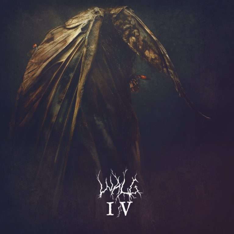Walg releases the music video for "Wanneer Het Glas Breekt" - Allied ...